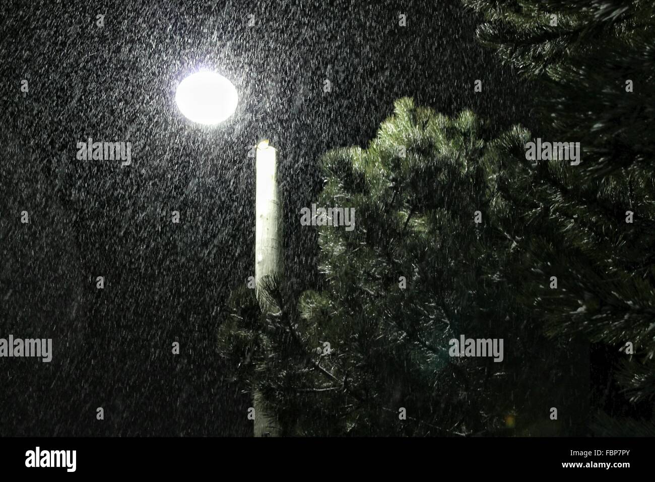 Street light on tree hi-res stock photography and images - Alamy