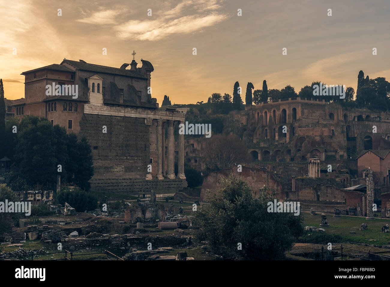 Rome, Italy: The Roman Forum Stock Photo - Alamy