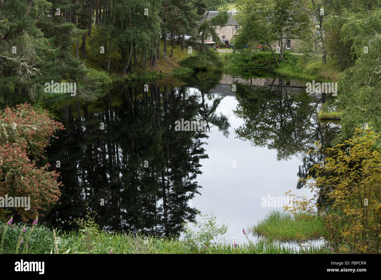 Pool outside Inshriach Farm near Insh Scotland Stock Photo - Alamy