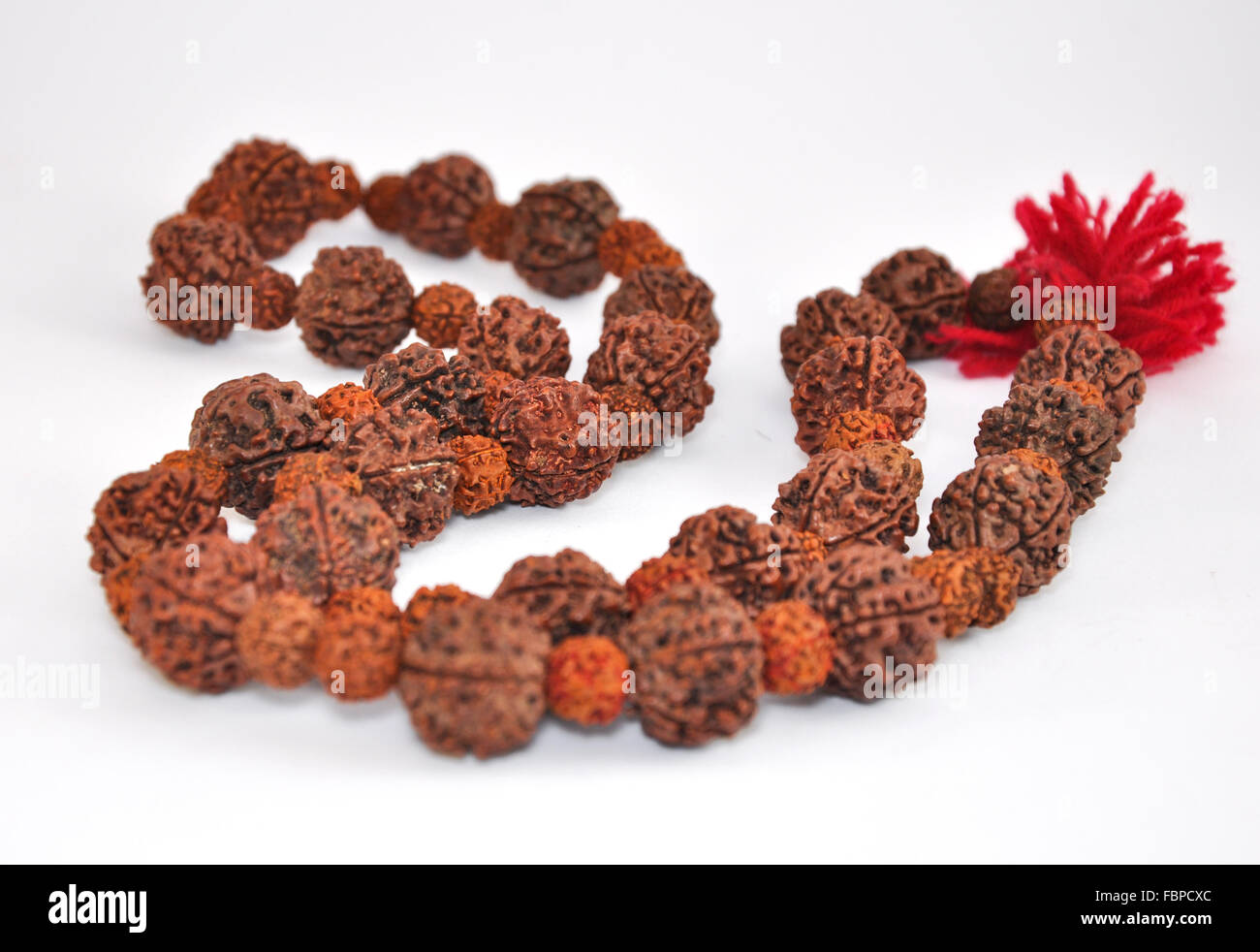 Tibetan beads-rudraksha on the red string with a pompon on a white ...