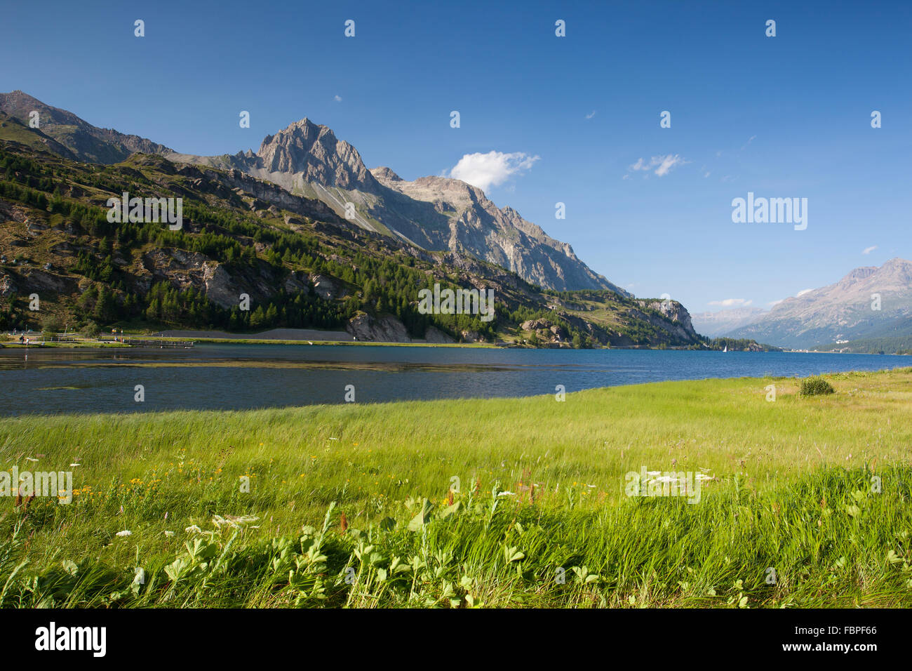 Lake Sils. It is a lake in the Upper Engadine valley, Grisons ...