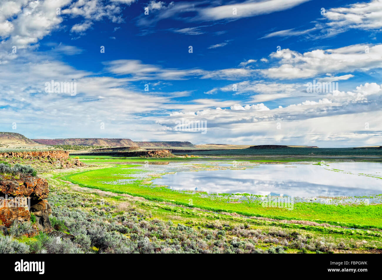 A wetland area in Malheur National Wildlife Refuge in southeastern ...
