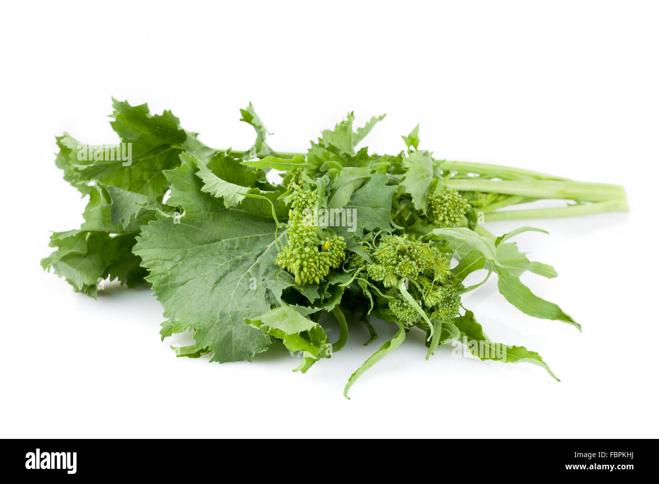 Rapini hi-res stock photography and images - Alamy