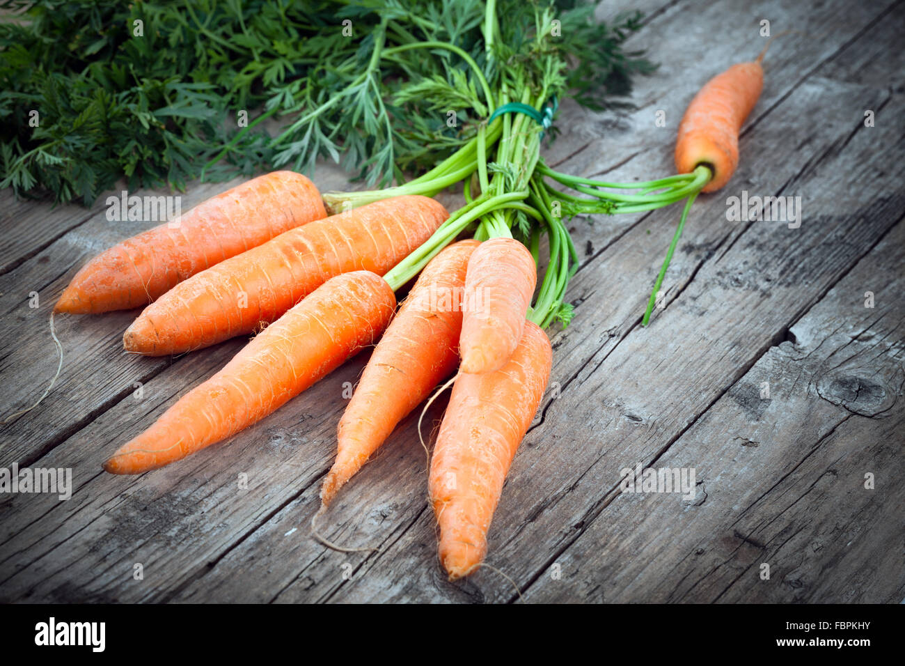 Farm Fresh Carrots Stock Photo - Alamy