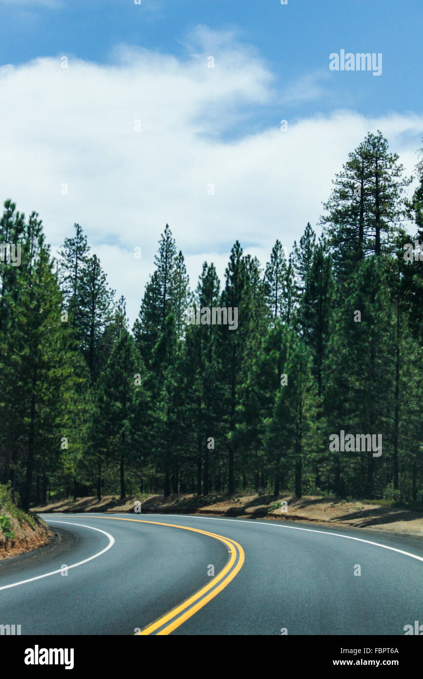 Winding Roads through Forest Stock Photo - Alamy
