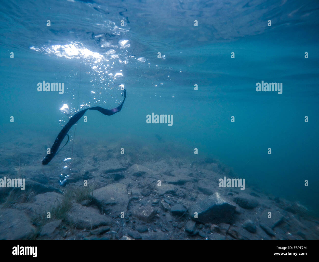 Fishing Lure Underwater View Stock Photo - Alamy