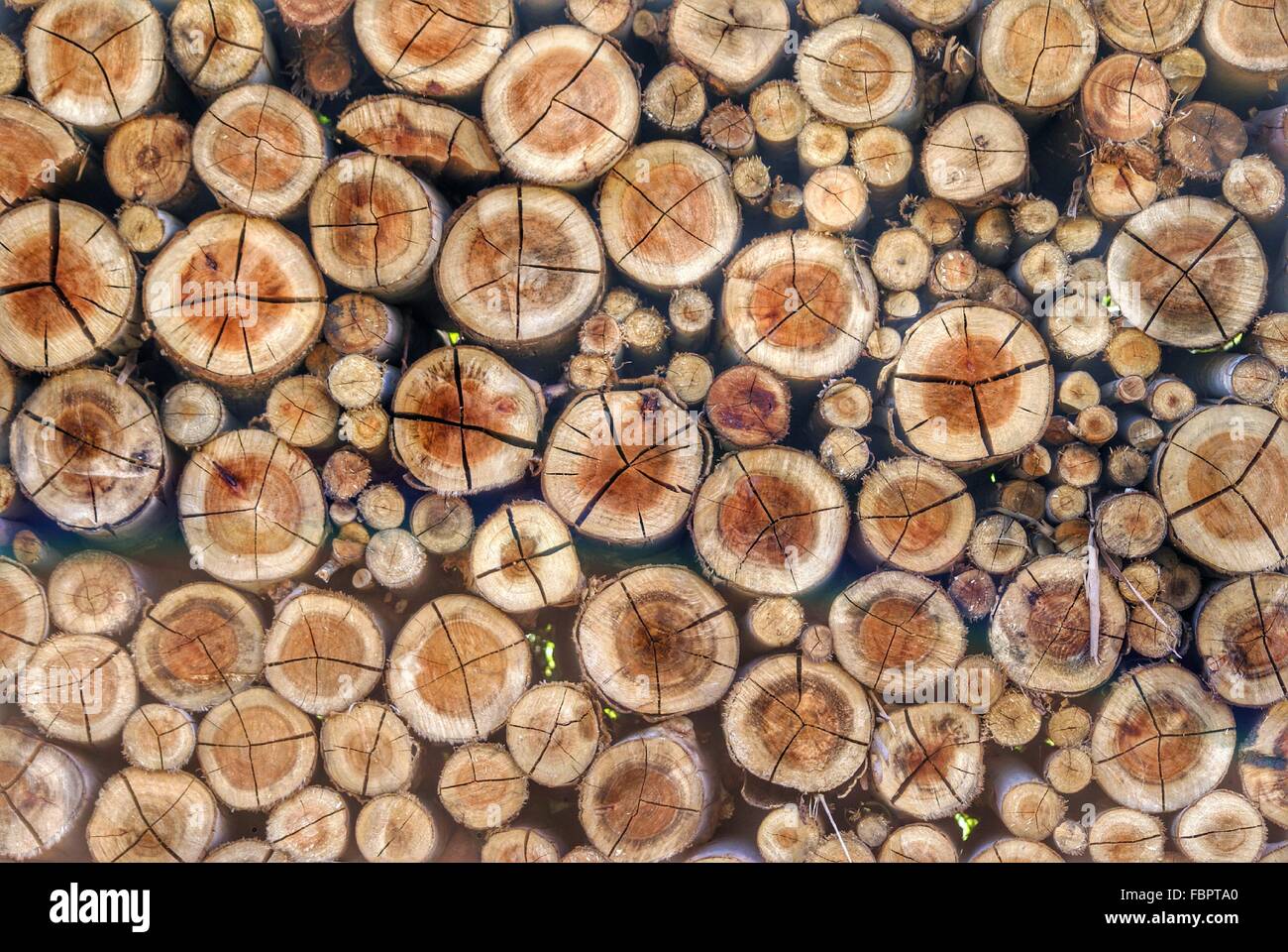 Full Frame Shot Of Logs Stock Photo - Alamy