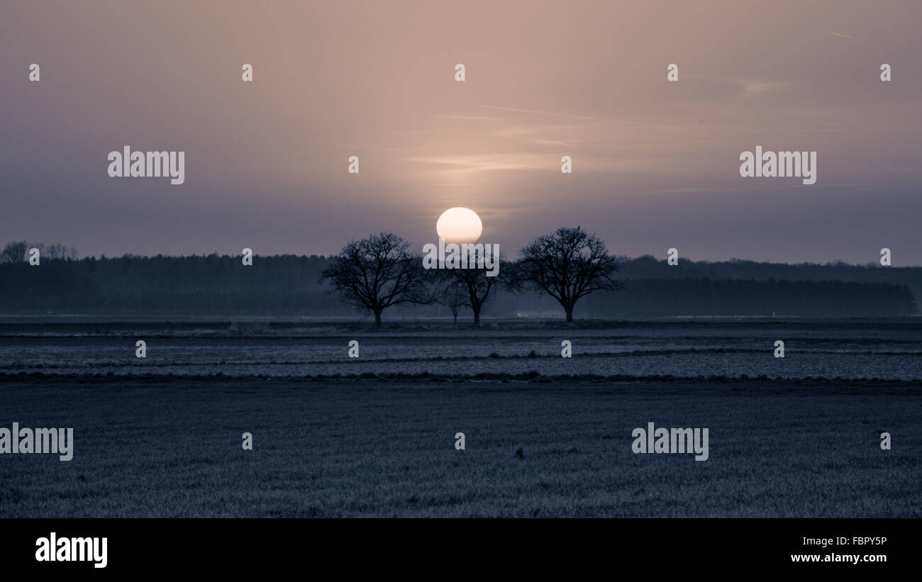 Landscape trees with sunset hi-res stock photography and images - Alamy