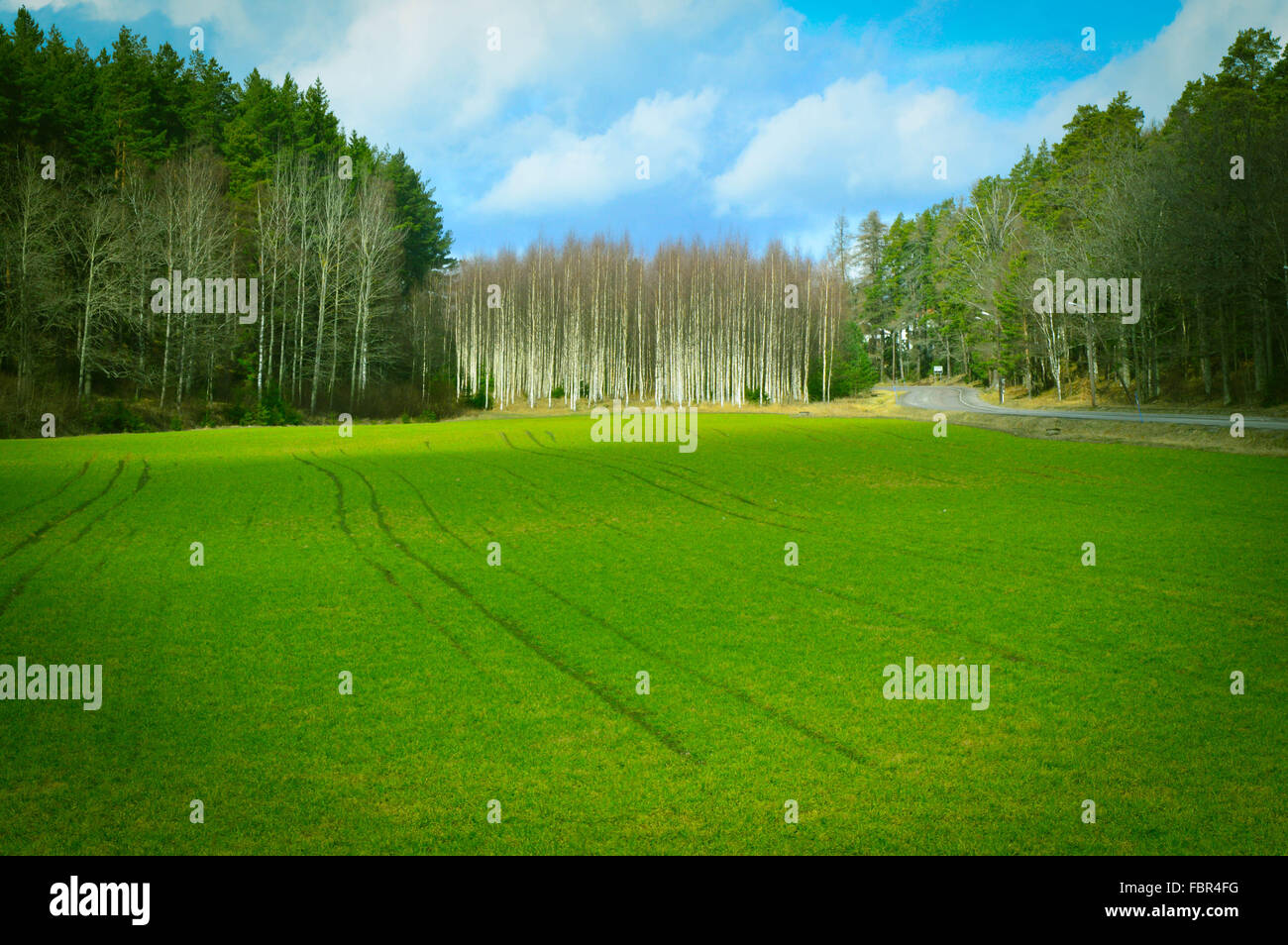Green Landscape With Trees Against The Sky Stock Photo - Alamy