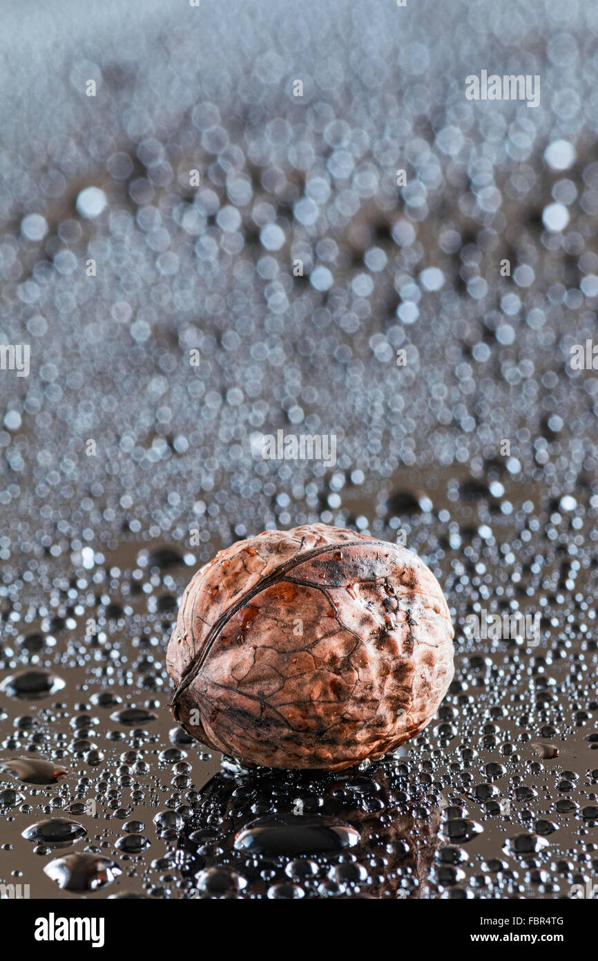 Wet Walnuts High Resolution Stock Photography and Images - Alamy