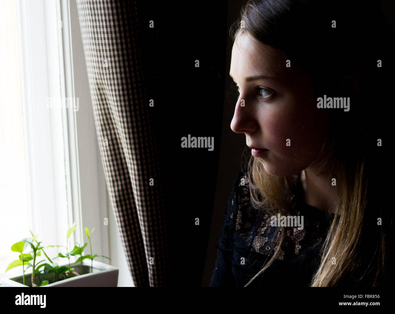 Looking looking through window hi-res stock photography and images - Alamy