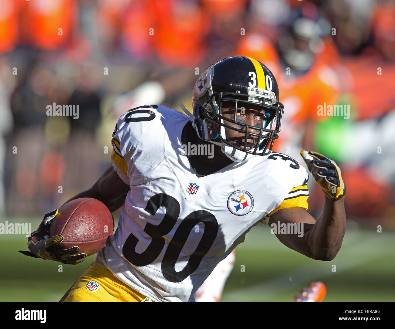 Denver, Colorado, USA. 17th Jan, 2016. Steelers RB JORDAN TODMAN runs ...