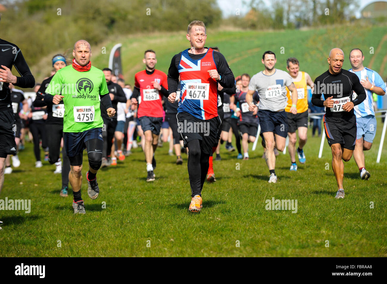 Runners at obstacle course race, UK Stock Photo - Alamy