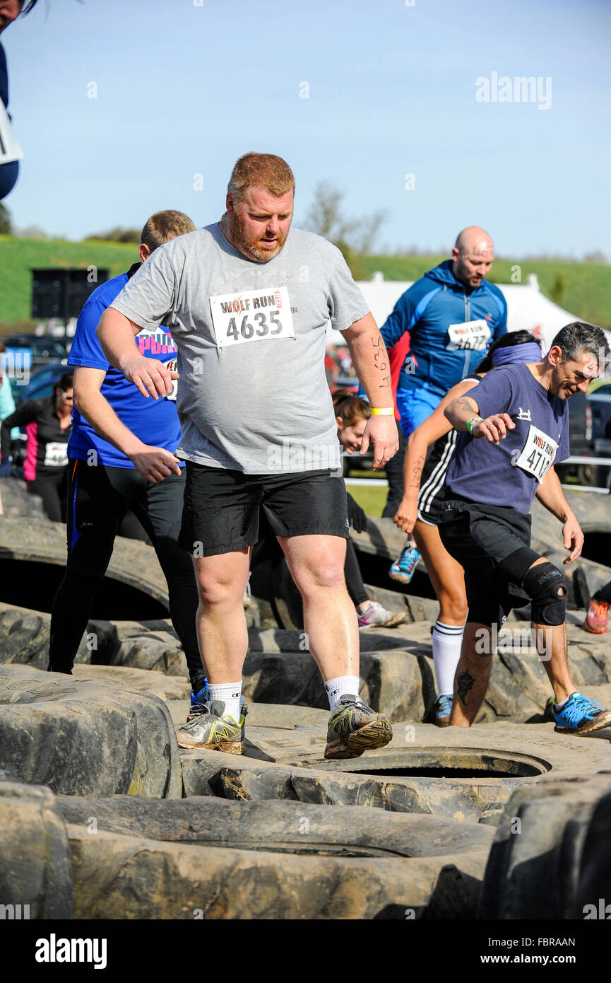 Runners at obstacle course race, UK Stock Photo - Alamy