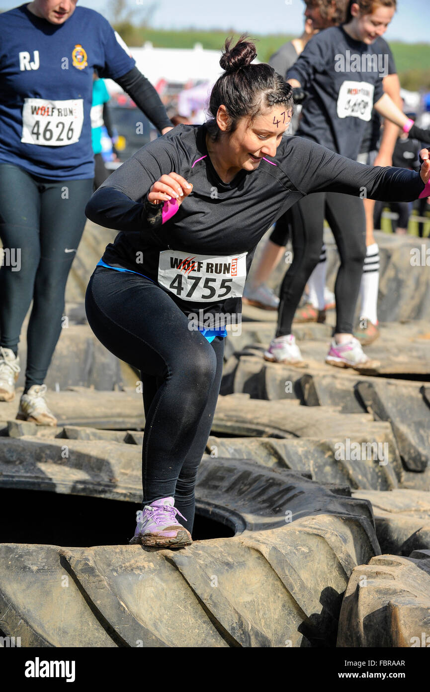 Runners at obstacle course race, UK Stock Photo - Alamy