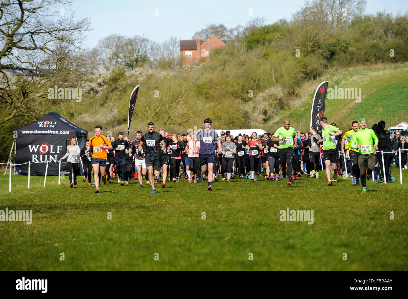 Runners at obstacle course race, UK Stock Photo - Alamy