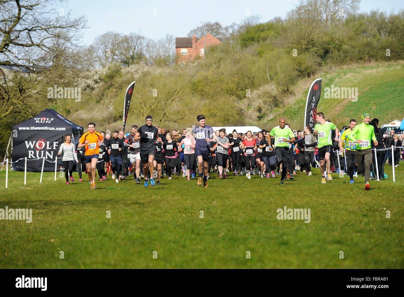 Runners at obstacle course race, UK Stock Photo - Alamy