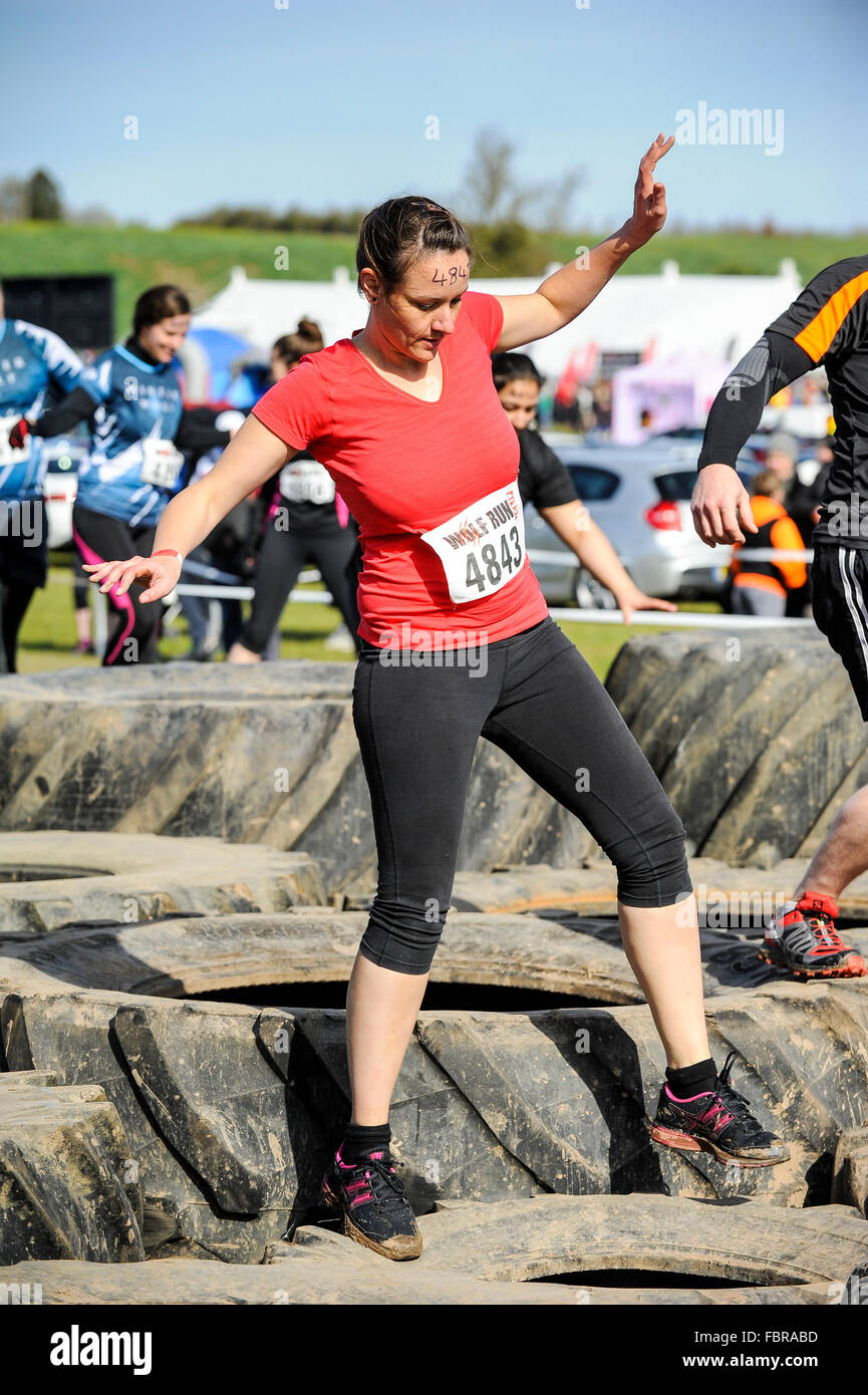 Runners at obstacle course race, UK Stock Photo - Alamy