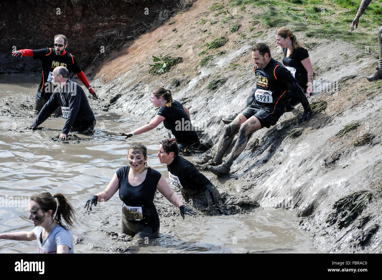Warwick race course hi-res stock photography and images - Alamy