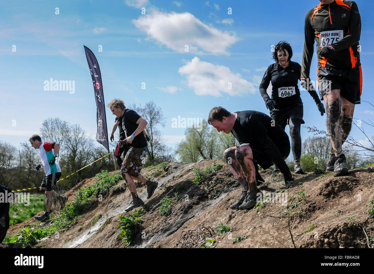 Runners at obstacle course race, UK Stock Photo - Alamy