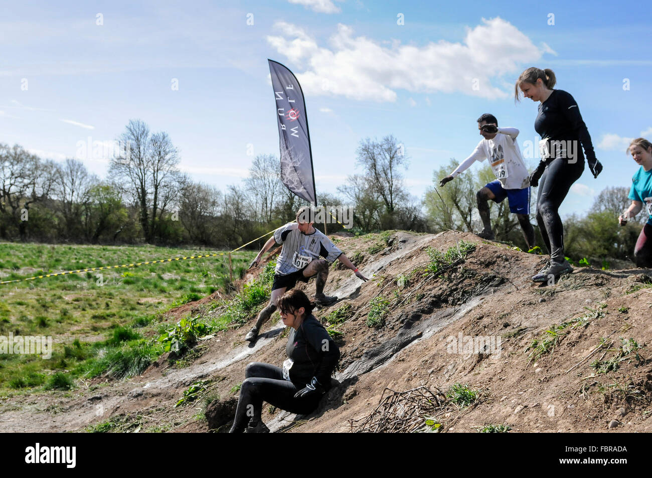 Runners at obstacle course race, UK Stock Photo - Alamy