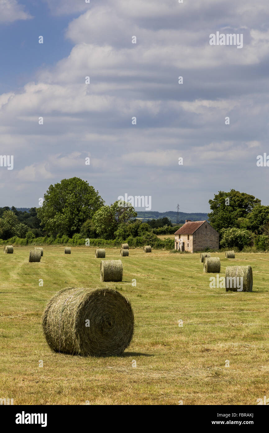 An empty barn on the edge of a recently harvested corn field with round ...