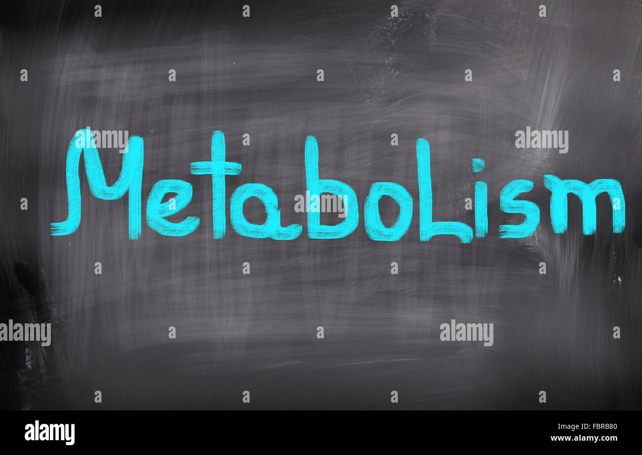 Enzymes in metabolism hi-res stock photography and images - Alamy