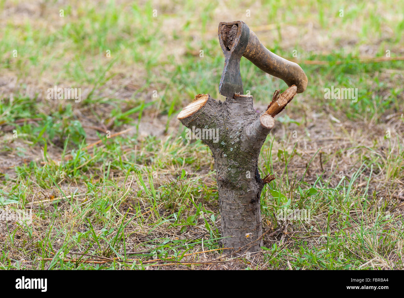 Old axe hi-res stock photography and images - Alamy