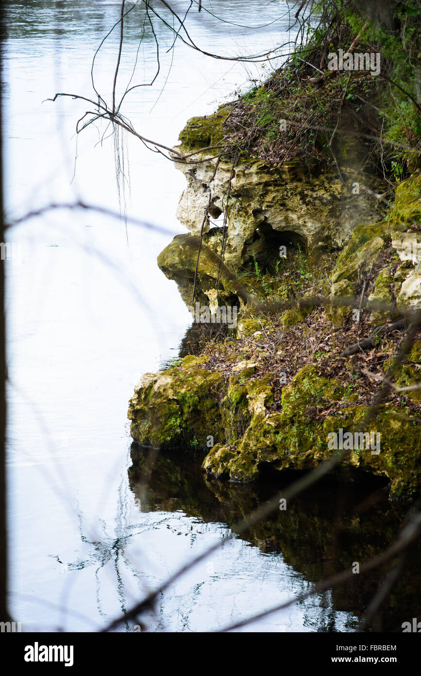 The limestone banks alone the Suwannee River Stock Photo - Alamy