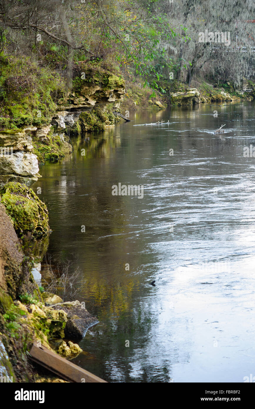 The limestone banks alone the Suwannee River Stock Photo - Alamy