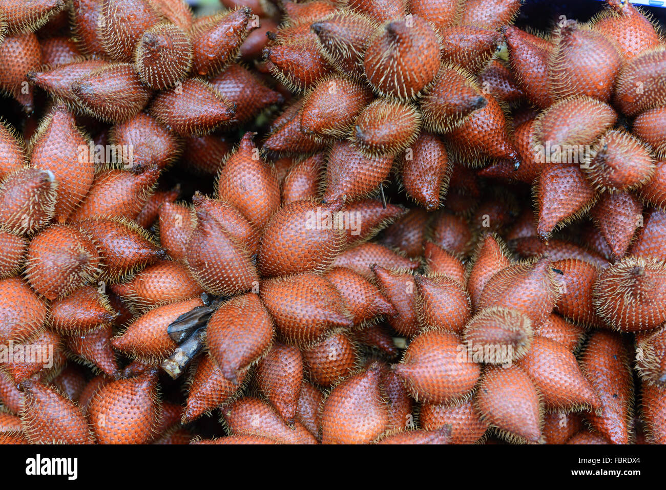 close up of salak fruit for sale at floating market in Thailand. It is ...