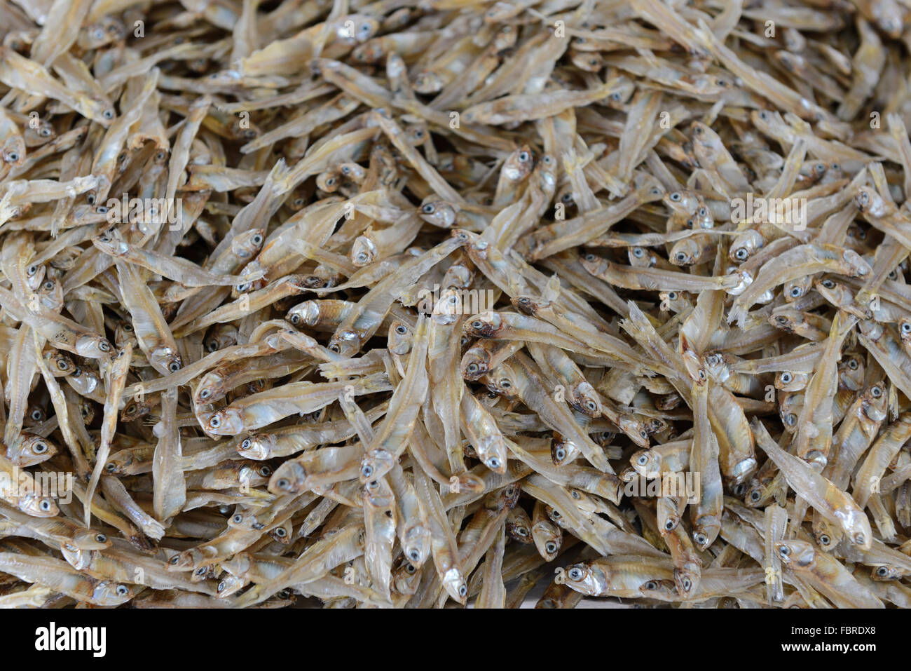 Small dried fish hi-res stock photography and images - Alamy