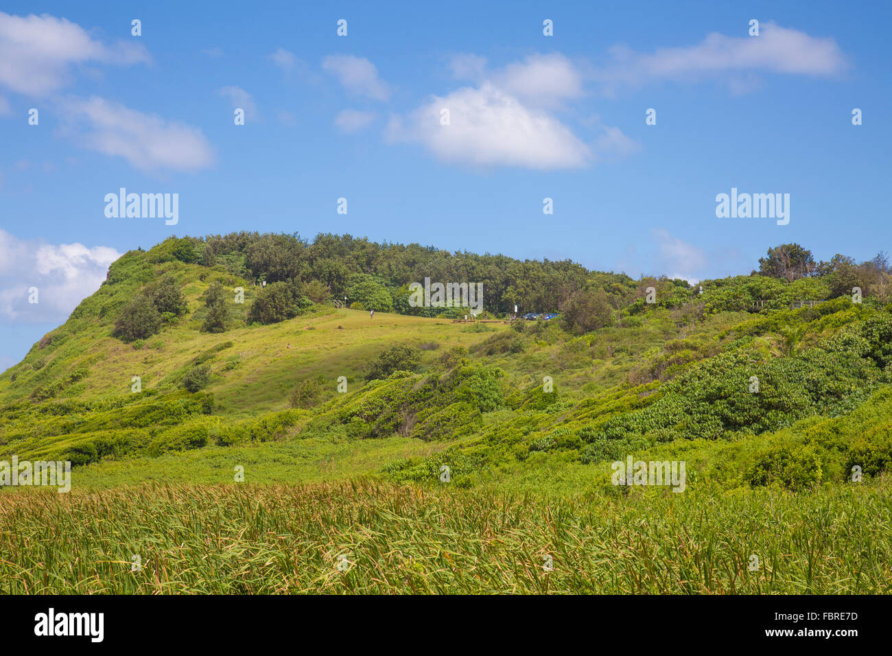Pat Morton lookout, that looks over Lennox Head on the northern New ...