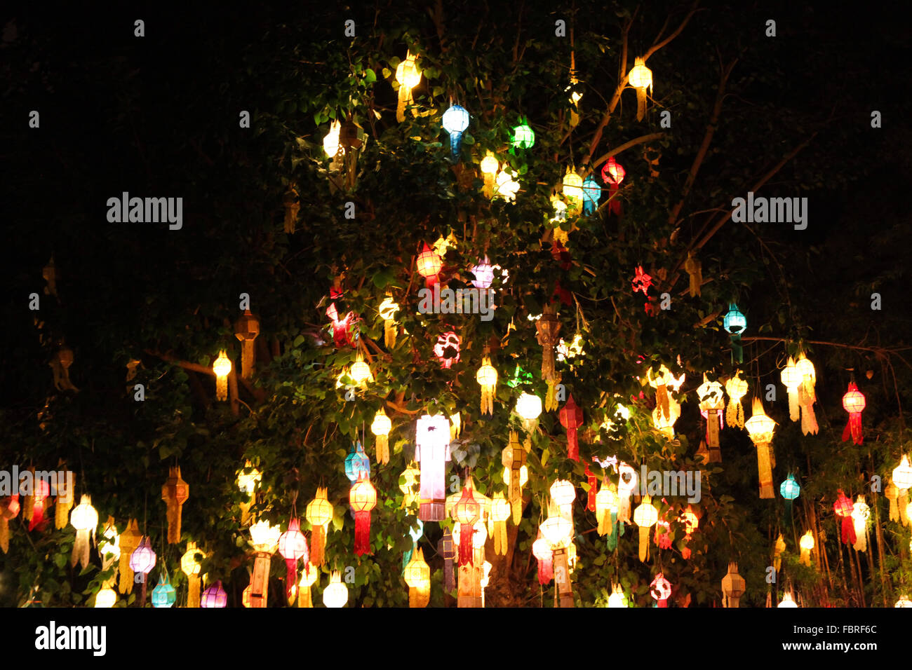 Chiang Mai, Thailand, 2016. Monks in saffron robes sitting under tree ...