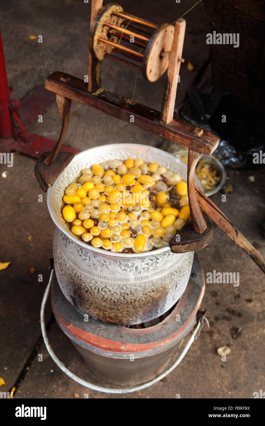 Chrysalis making process hi-res stock photography and images - Alamy