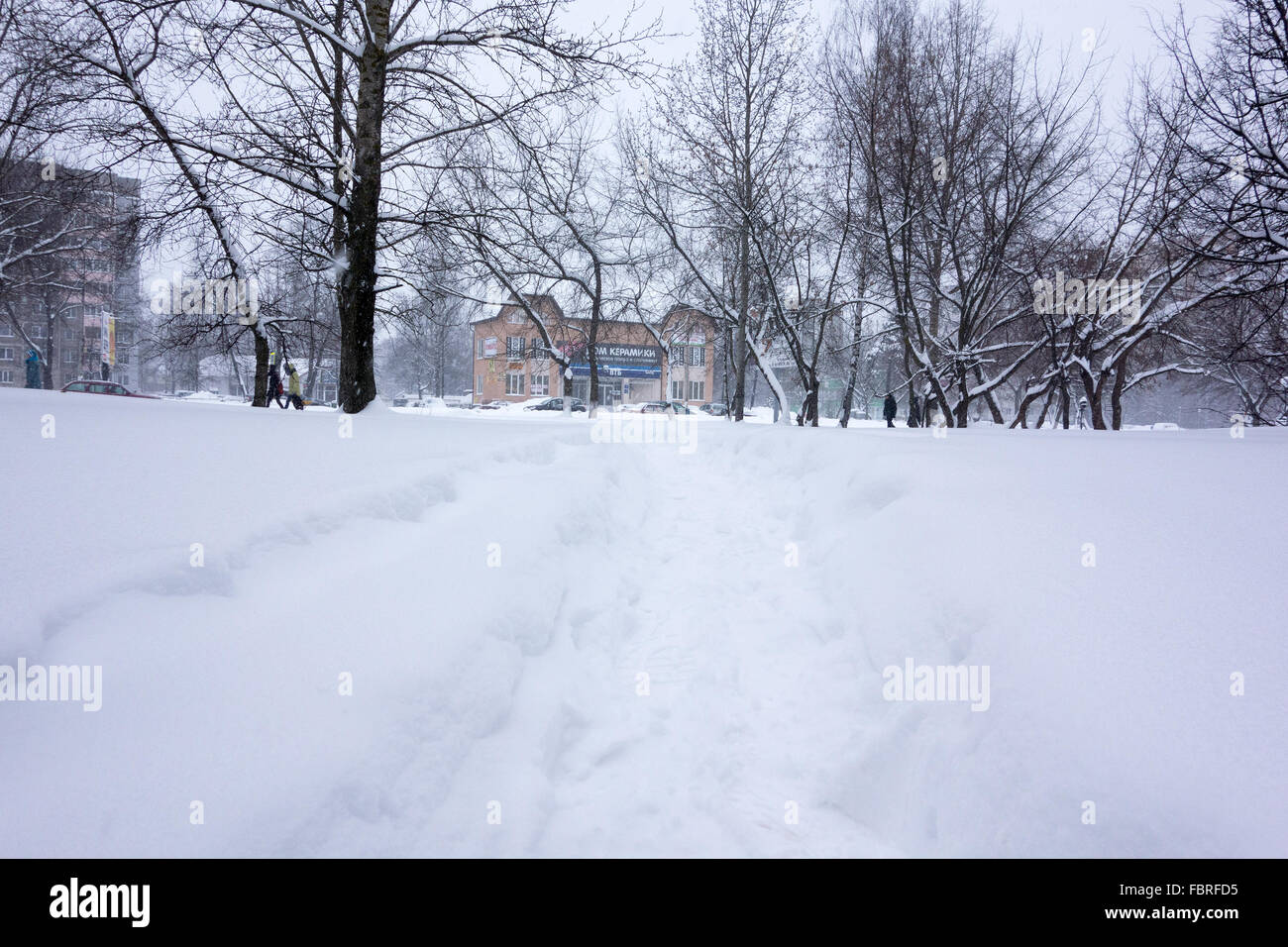 Borisov, Belarus - January 16, 2016: Natural disasters, snow storm with ...