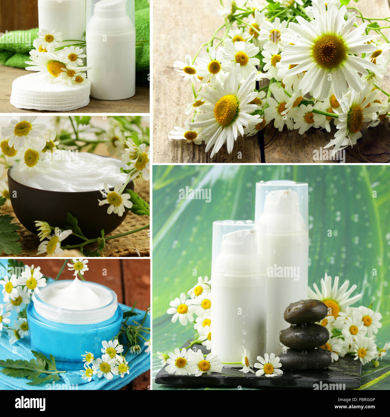 collage of natural organic cosmetics lotion with chamomile Stock Photo ...