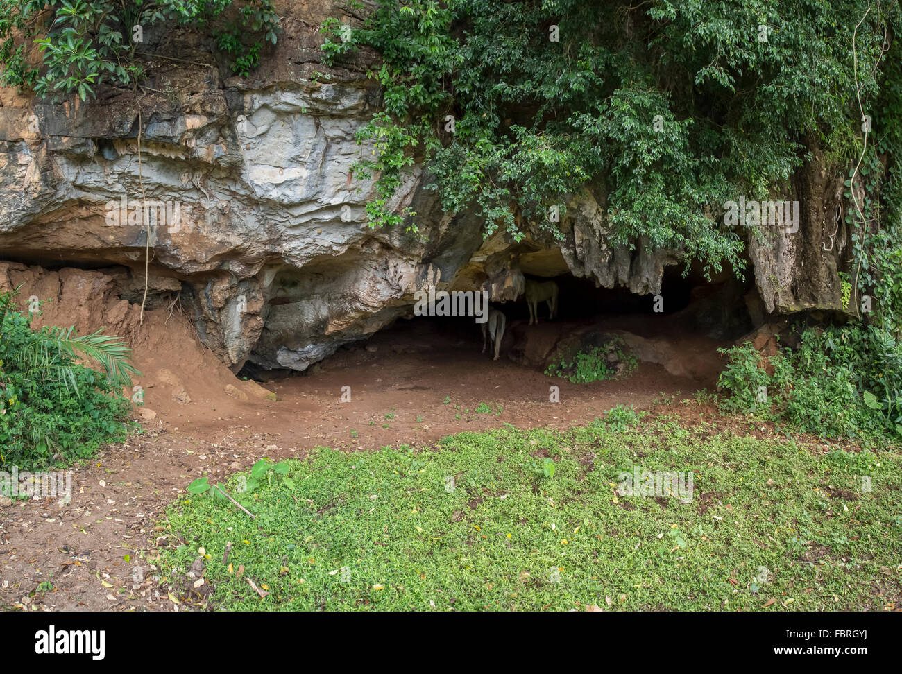 Base of hill hi-res stock photography and images - Alamy