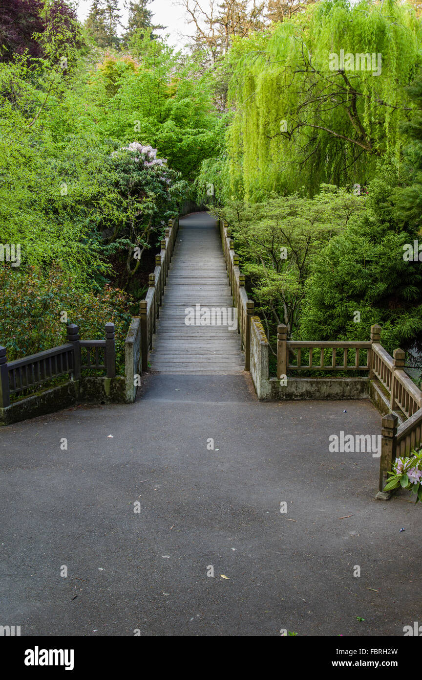 Wooden bridge and walkway at Crystal Springs Rhododendron Garden ...