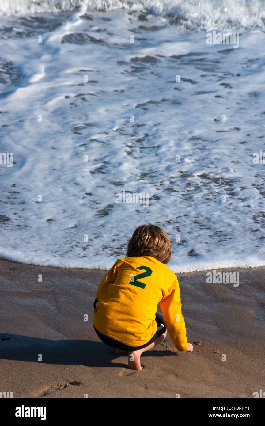 Cape cod water birds hi-res stock photography and images - Alamy
