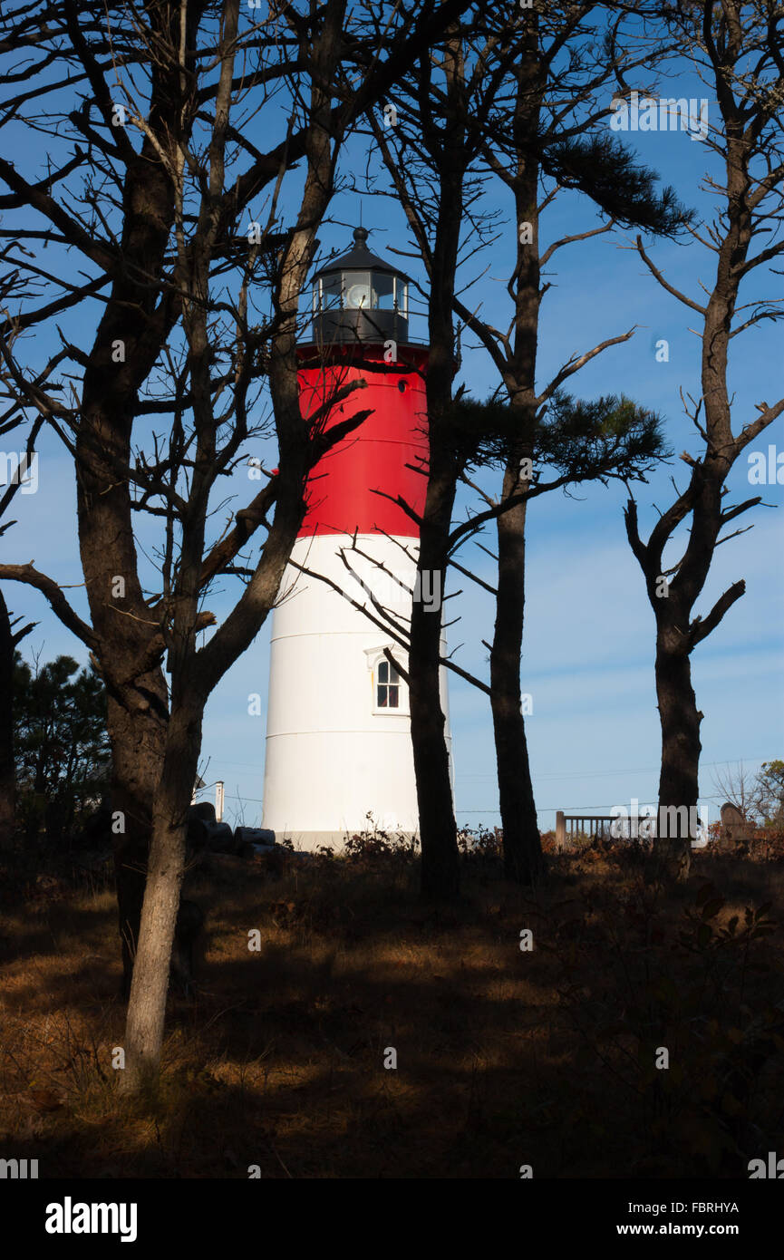 Nauset Light, a landmark lighthouse seen through pine trees, located ...