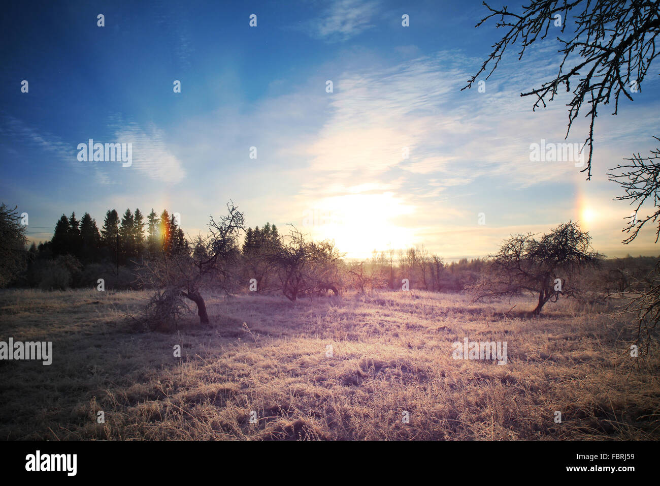 Cold winter landscape with bright sunset and blue sky. Field in garden ...