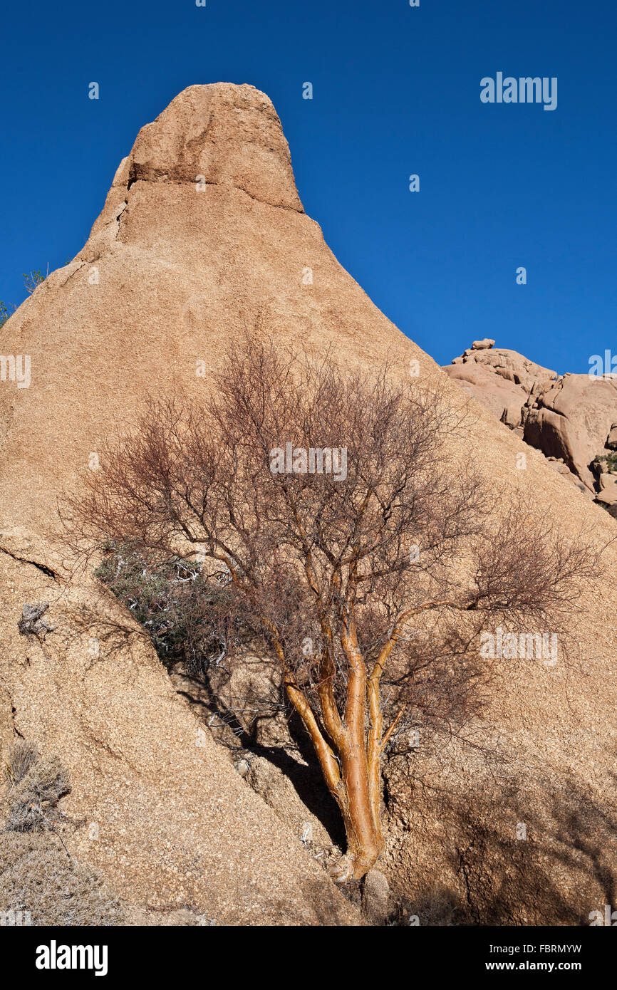 Inselbergs spitzkoppe namibia hi-res stock photography and images - Alamy