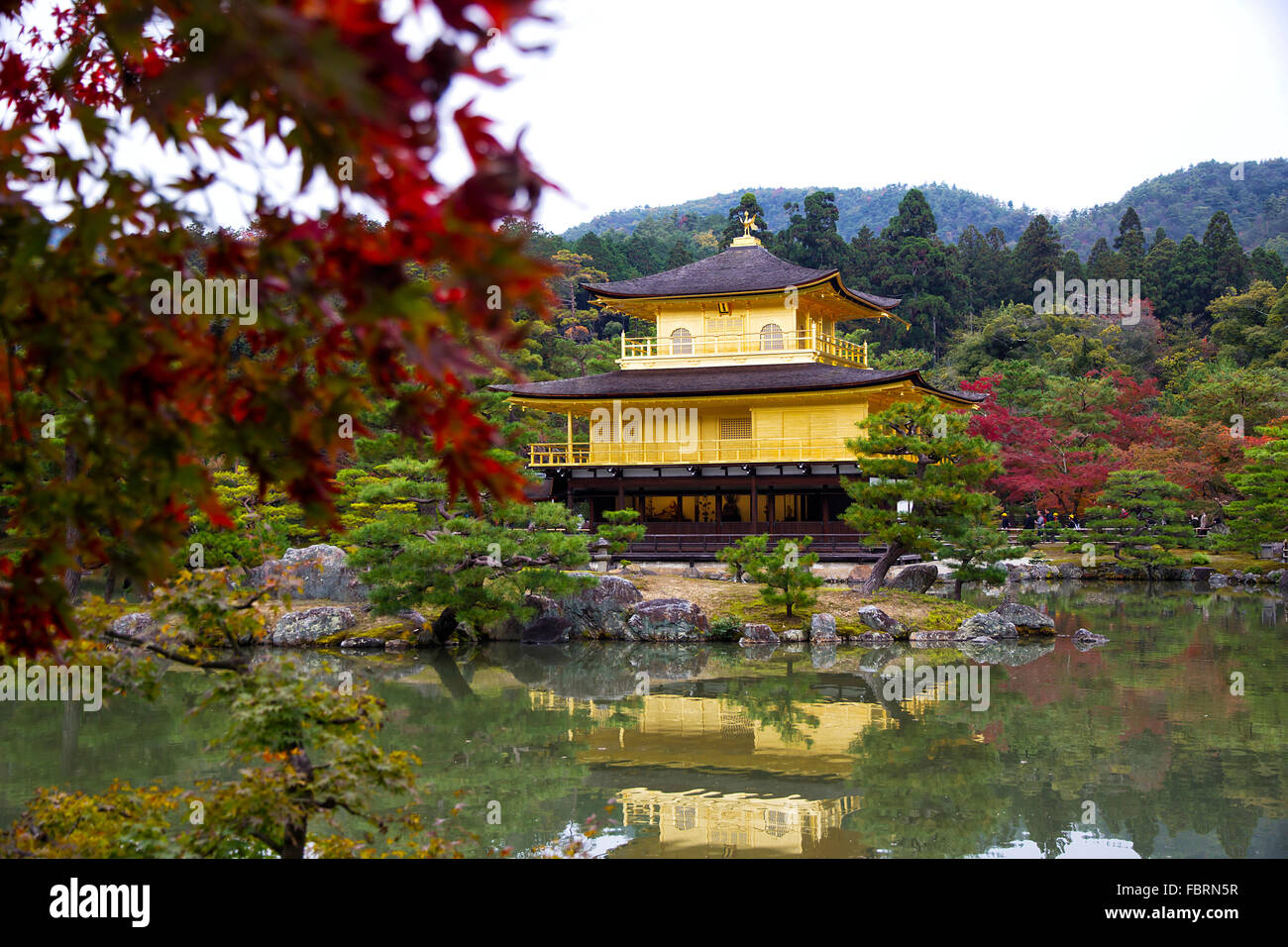 Kinkaku Ji, Golden Pavilion, Kyoto, Japan Stock Photo - Alamy