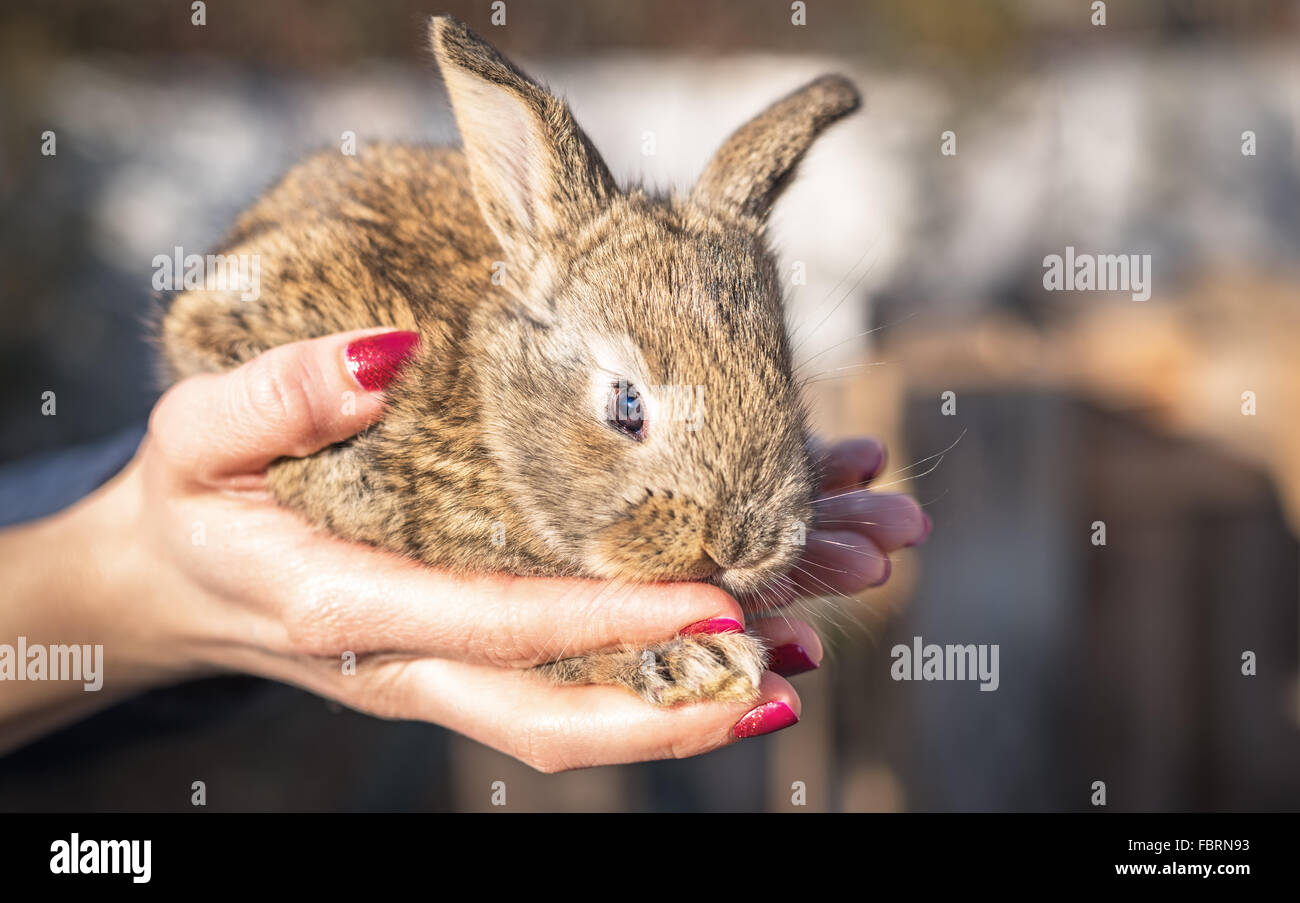 Front on shot little hi-res stock photography and images - Alamy