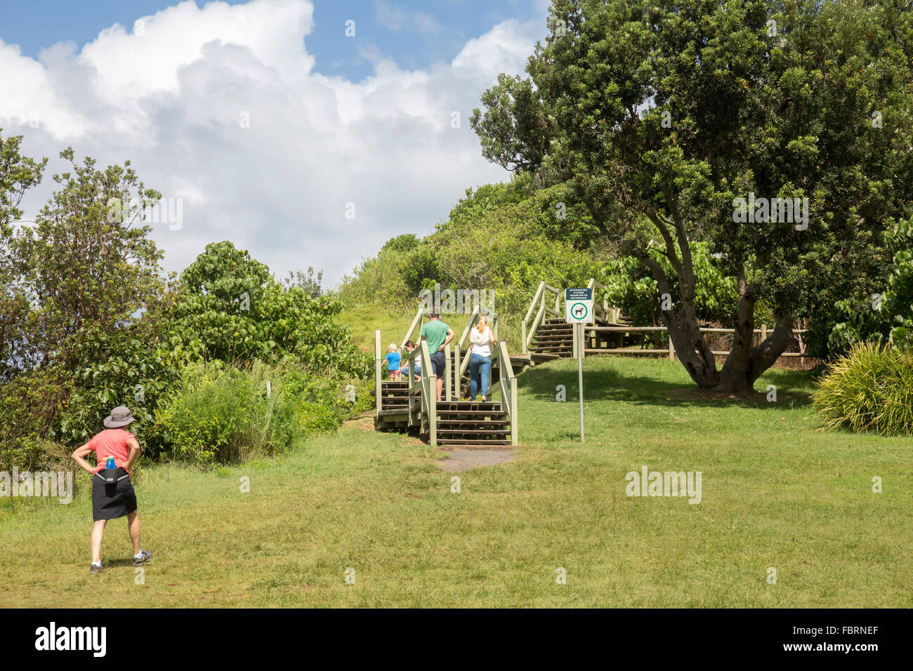 people walking up to the Pat Morton lookout at Lennox Head,northern new ...