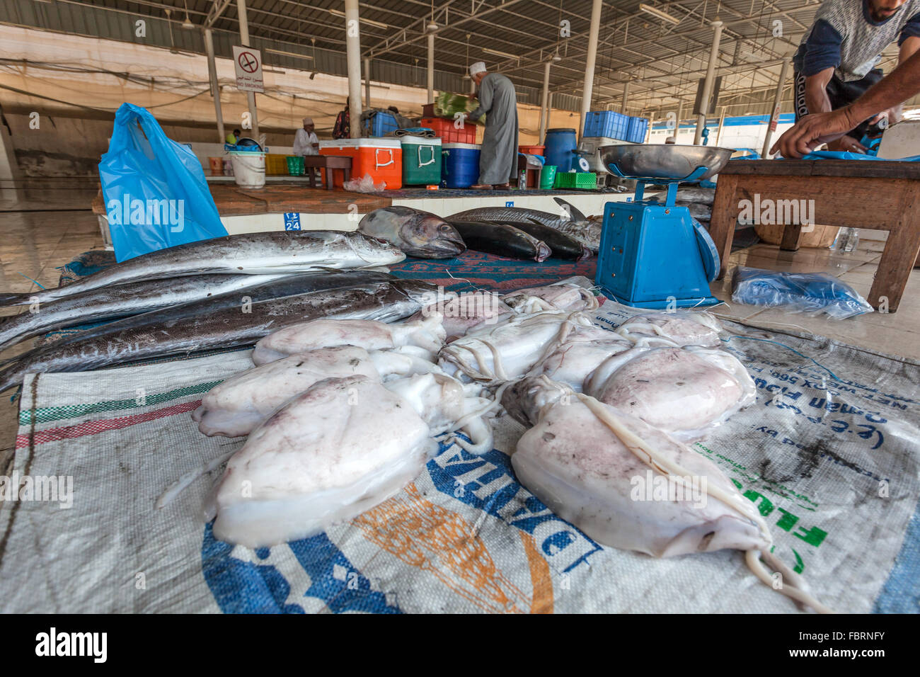 Squid at the fish market in Muttrah, Oman Stock Photo - Alamy