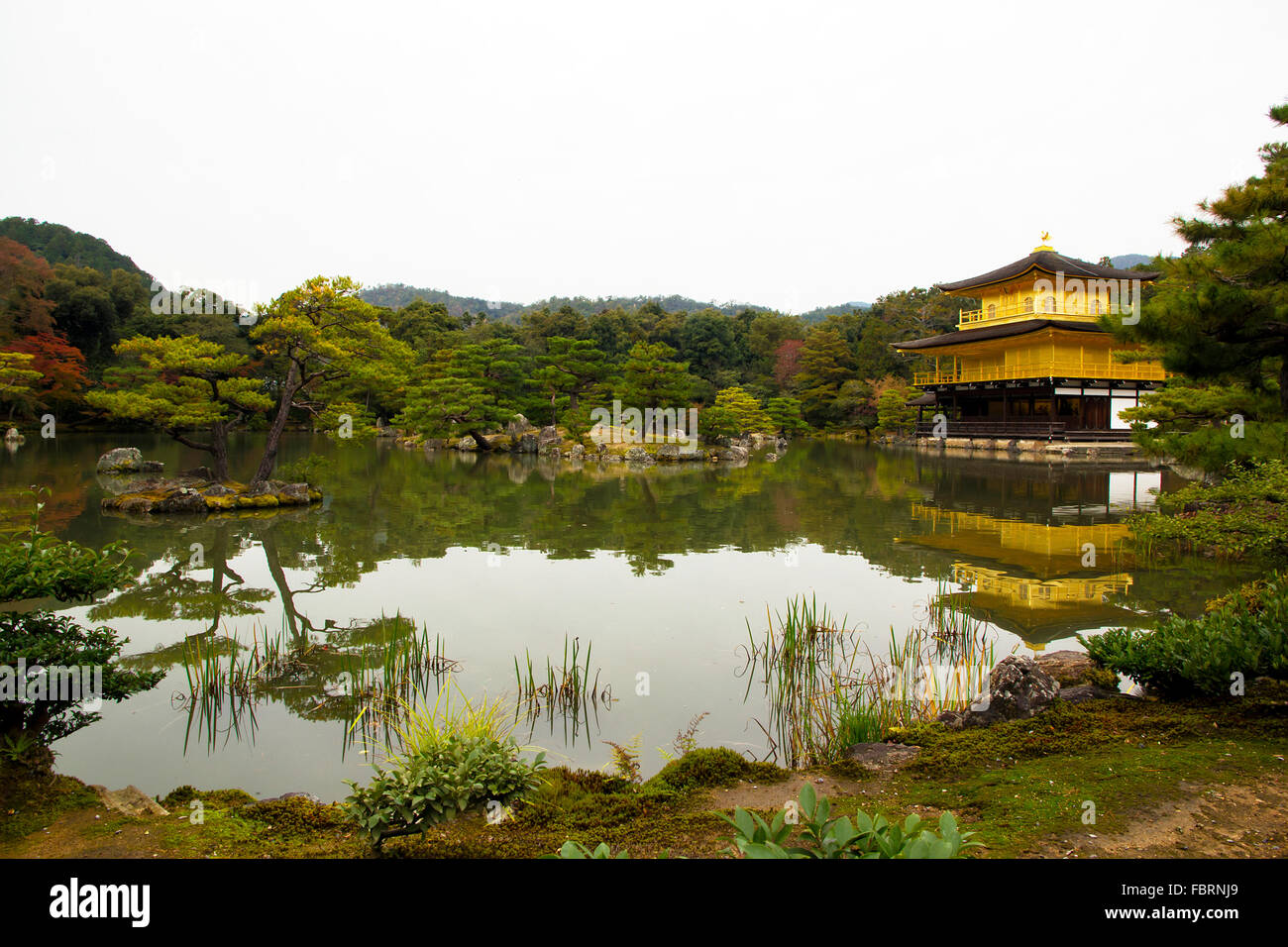 Kinkaku Ji, Golden Pavilion, Kyoto, Japan Stock Photo - Alamy