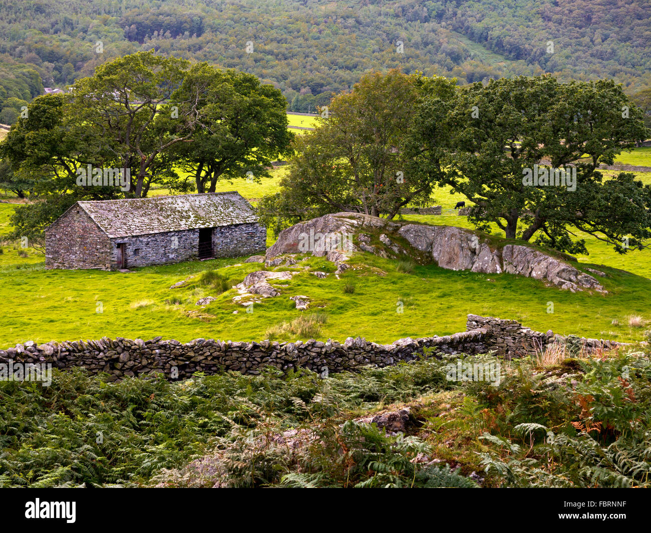 Traditional stone field barn near Ulpha a small village in the Duddon ...