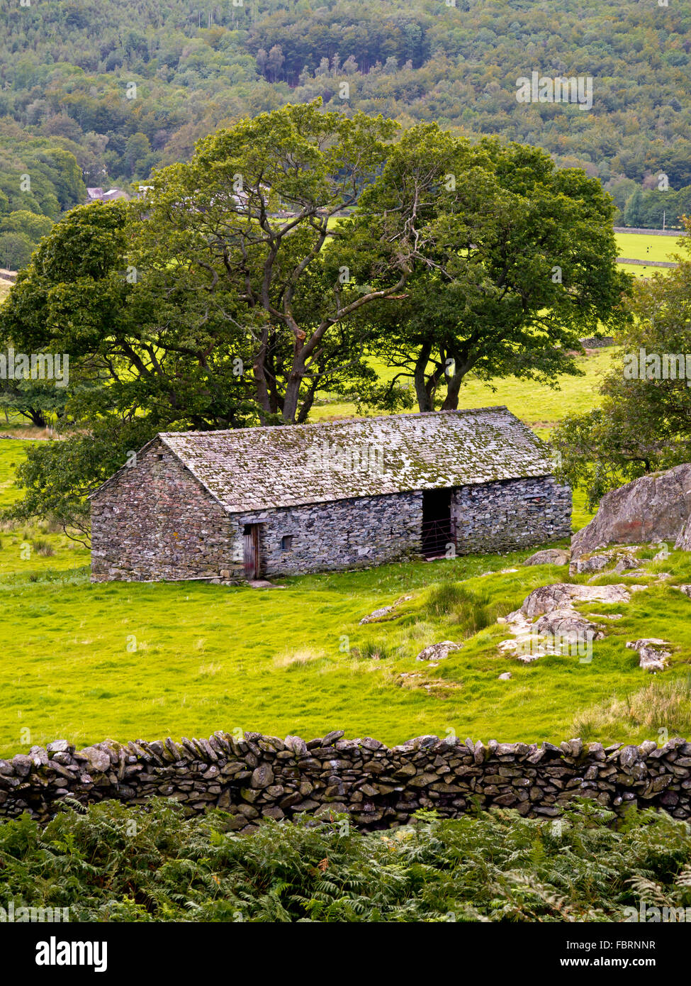 Traditional stone field barn near Ulpha a small village in the Duddon ...